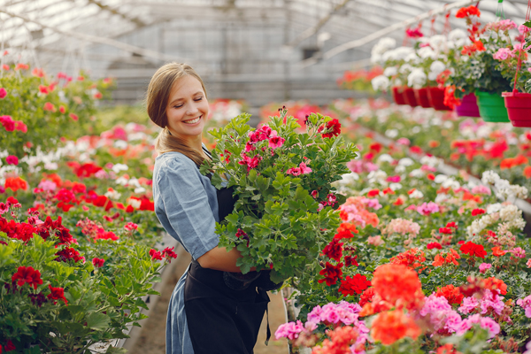 Nomes de Flores de A a Z com fotos e significados - Blog Rebeca Flores